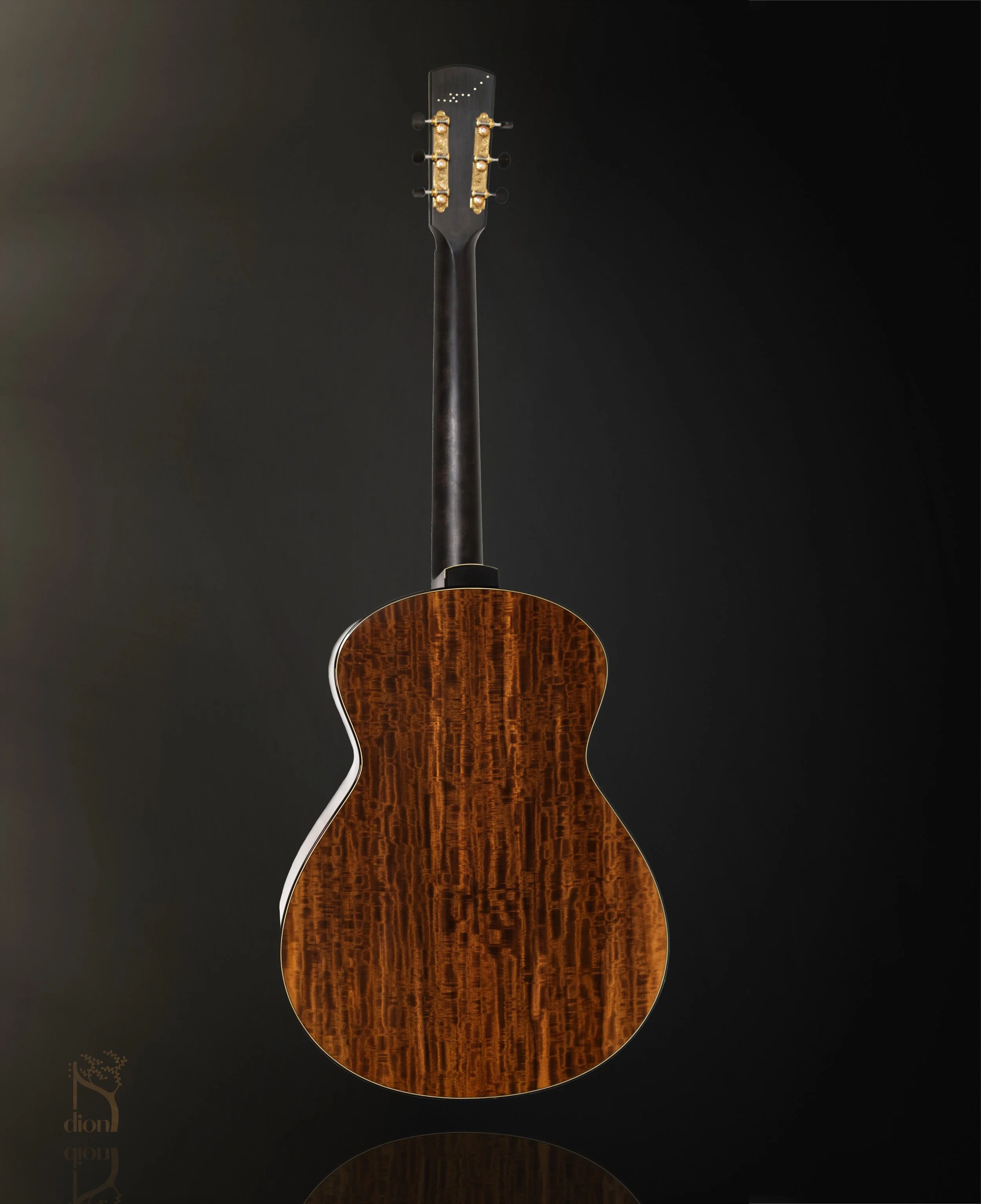 4 — Dion Guitars