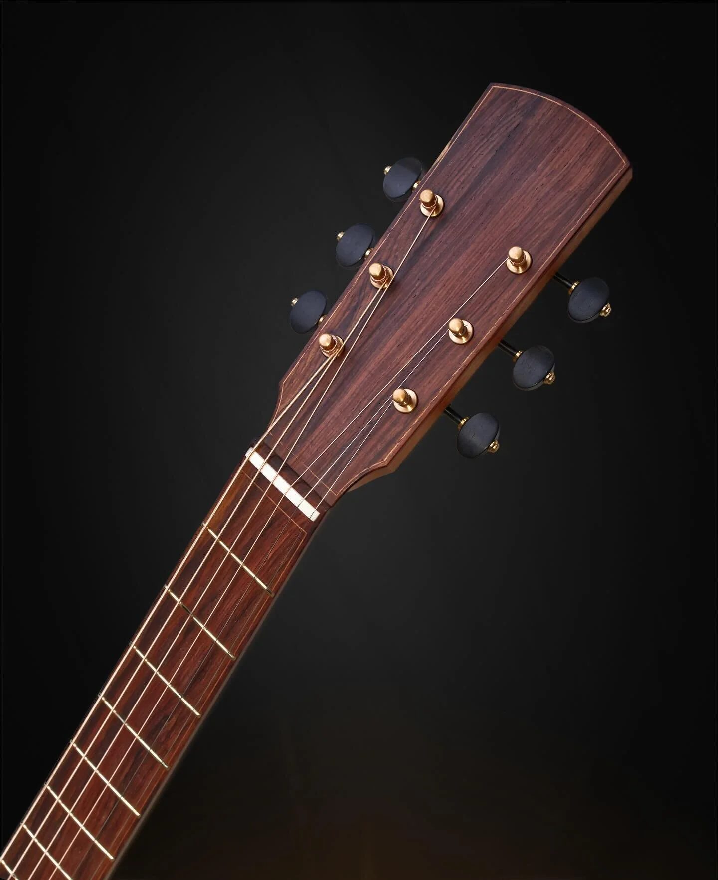 GALLERY — Dion Guitars