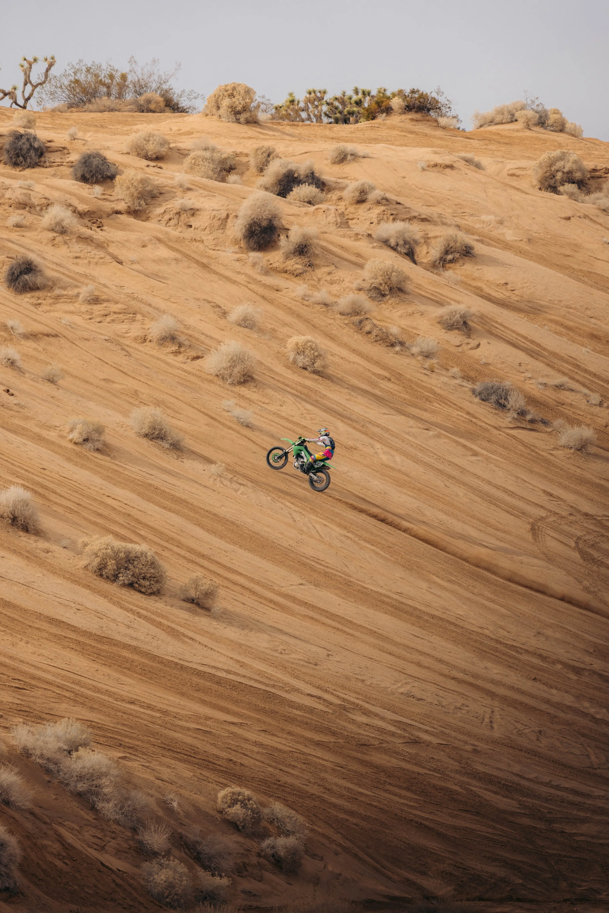 Overview — Matthew Ronder-Seid