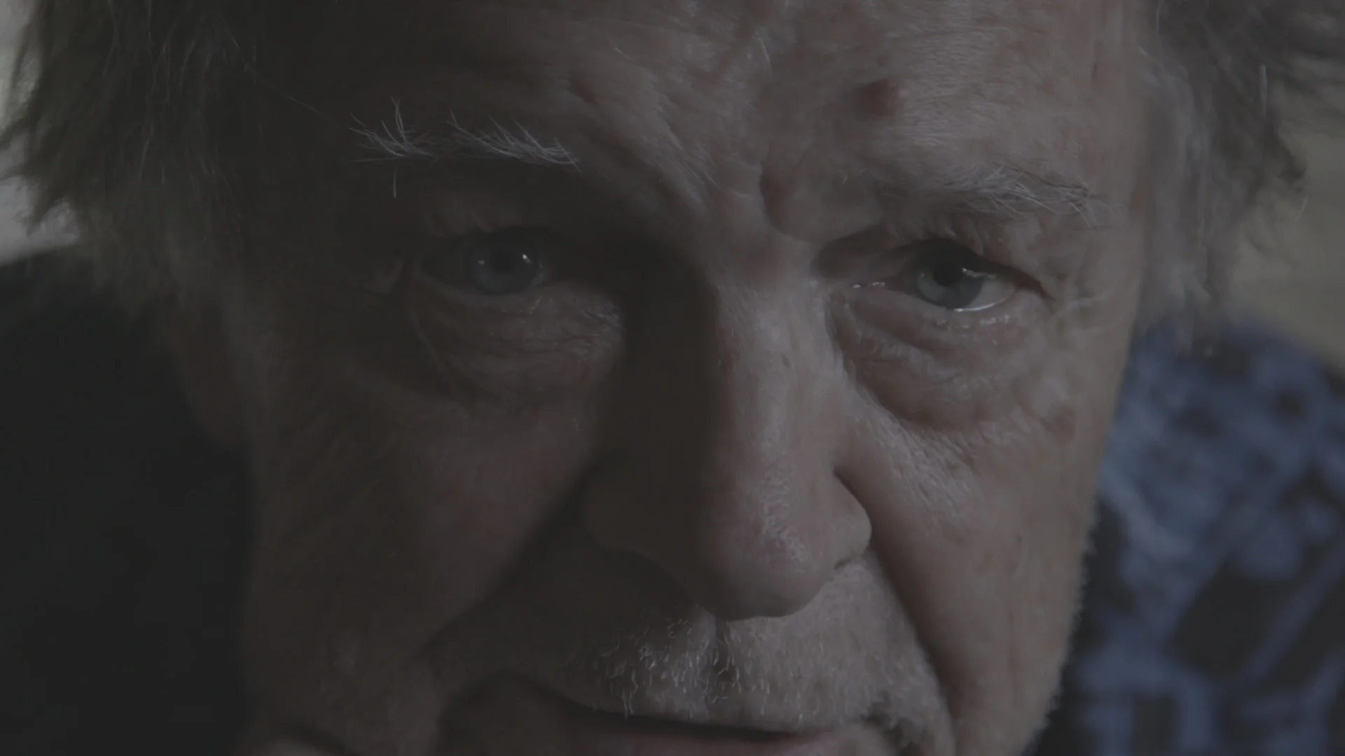 Joey Daley's Instagram, Twitter & Facebook on IDCrawl