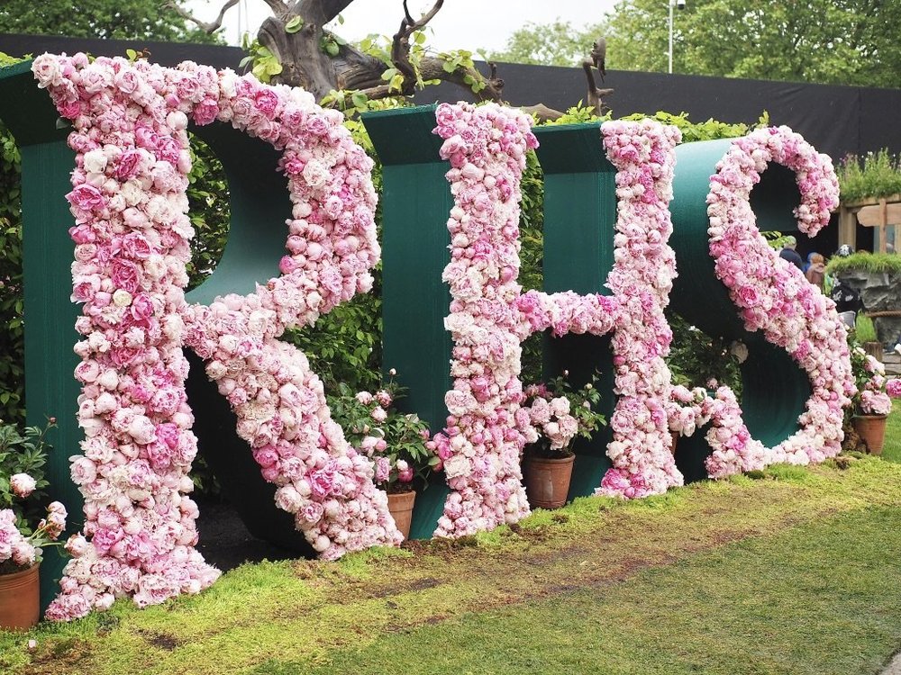 2024 Chelsea Flower Show Unveils Cutting-Edge Garden Designs & Eco ...