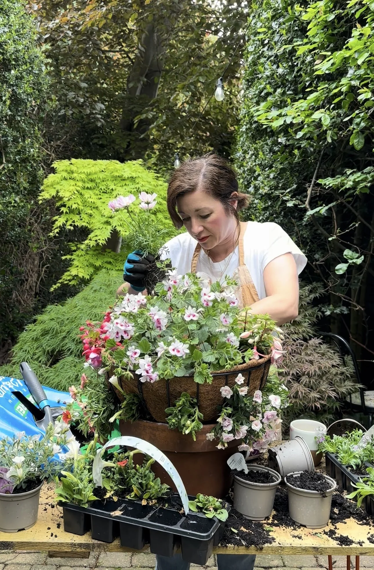 Easy Beginner Tips On How To Make A Successful Hanging Basket — MELANIE ...