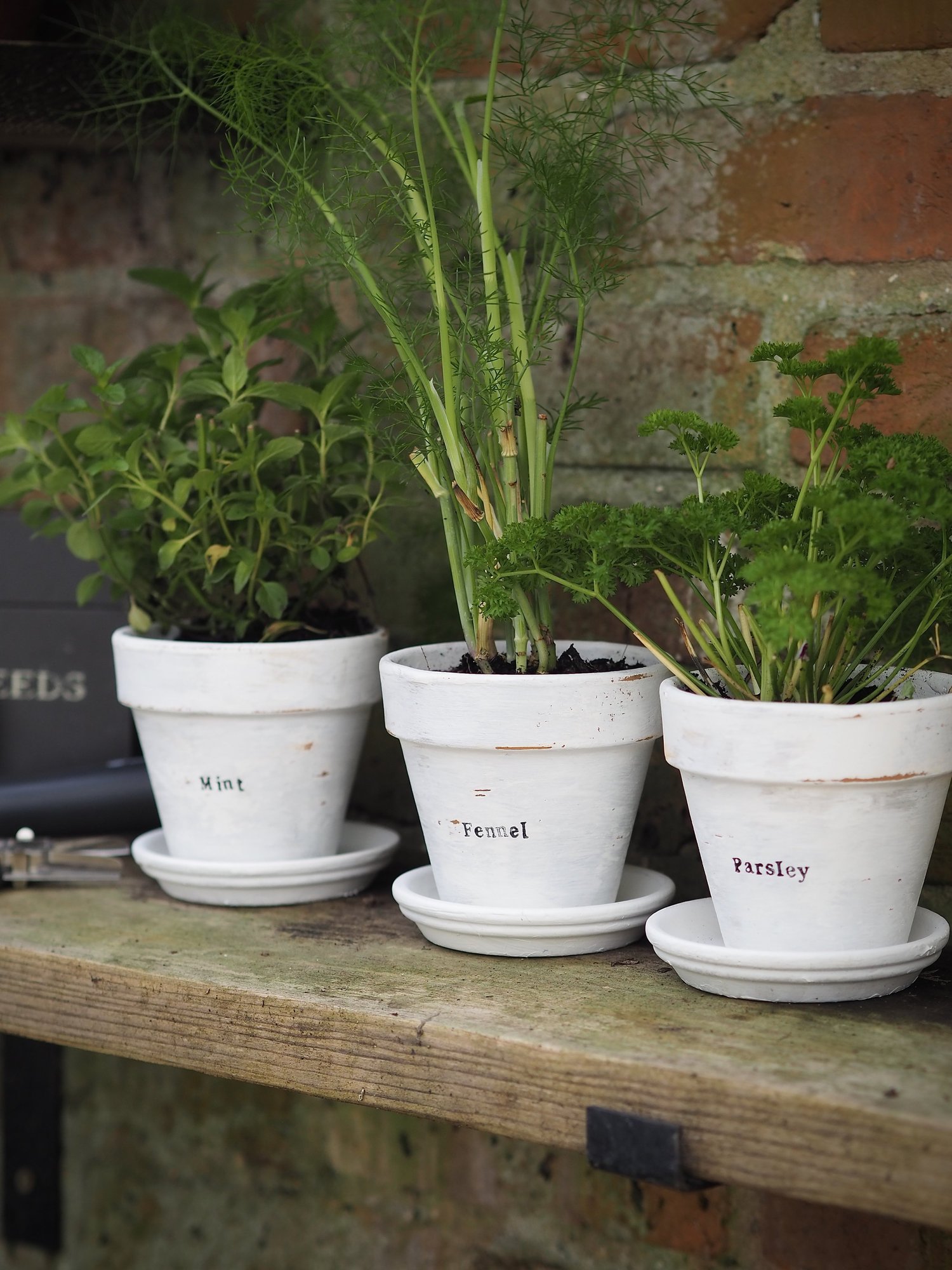 Make These Rustic White Herb Planters In Three Simple Steps — MELANIE ...