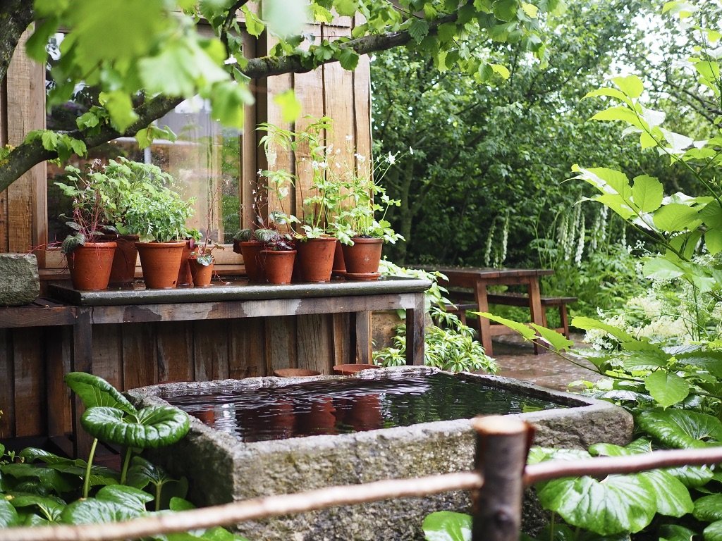 2024 Chelsea Flower Show Unveils Cutting-Edge Garden Designs & Eco ...