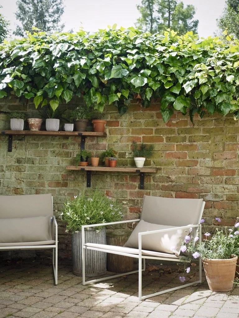 12 Urban Garden Ideas to Bring Your Outdoor Space to Life. — MELANIE ...
