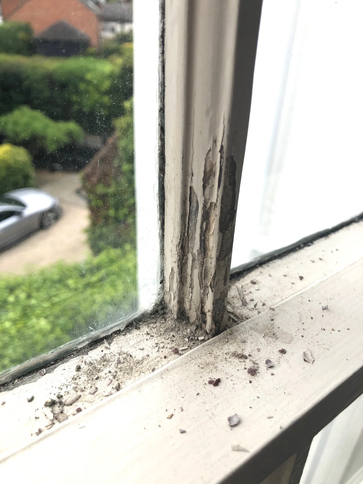 Paint Problems: Tackling Peeling, Cracking and Flaking on Sash Windows ...