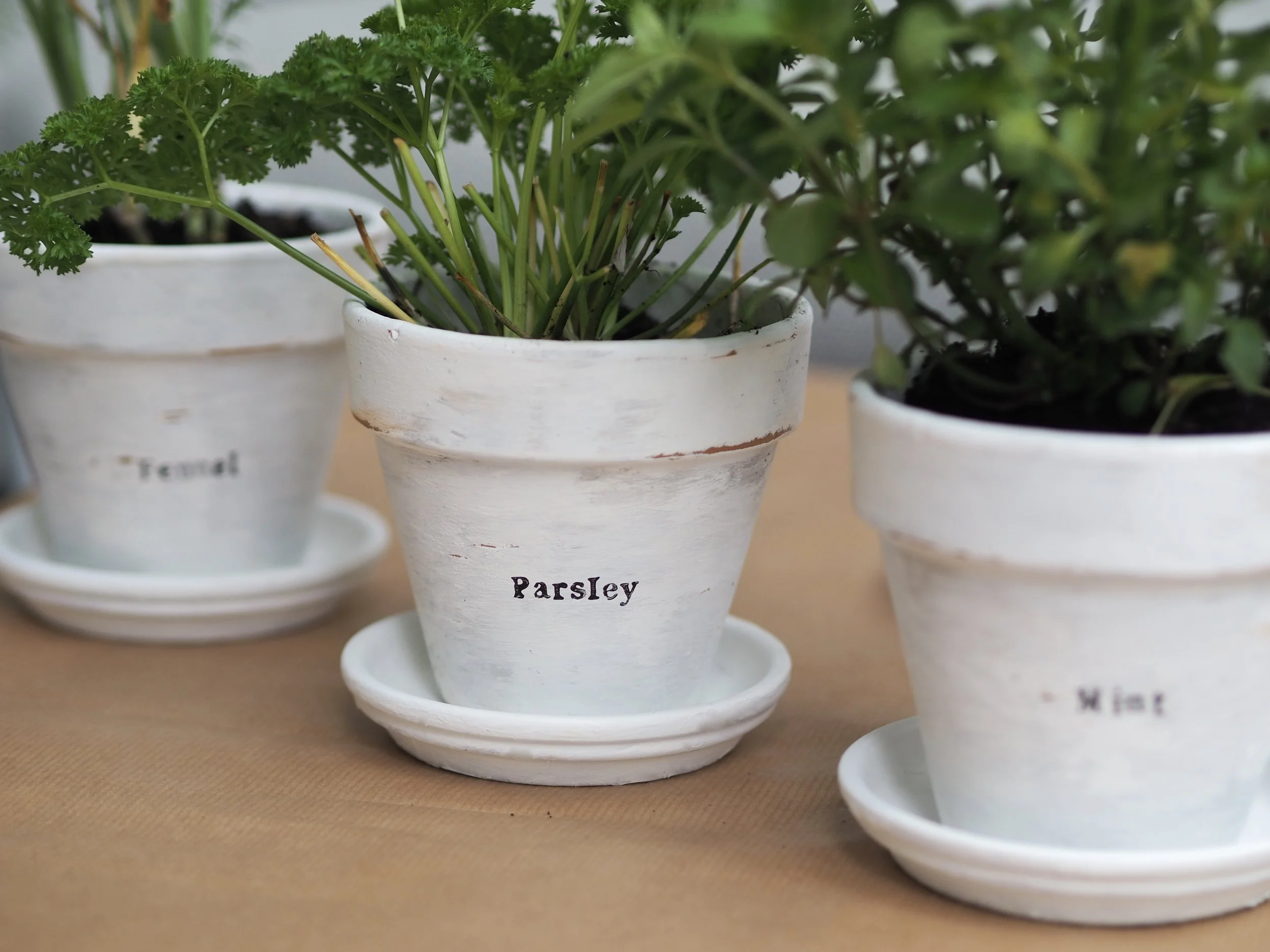 Make These Rustic White Herb Planters In Three Simple Steps — MELANIE ...