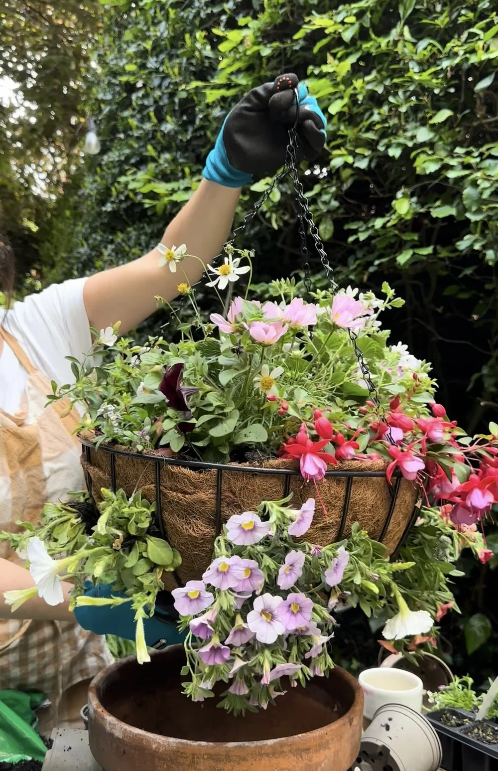 Easy Beginner Tips On How To Make A Successful Hanging Basket — MELANIE ...