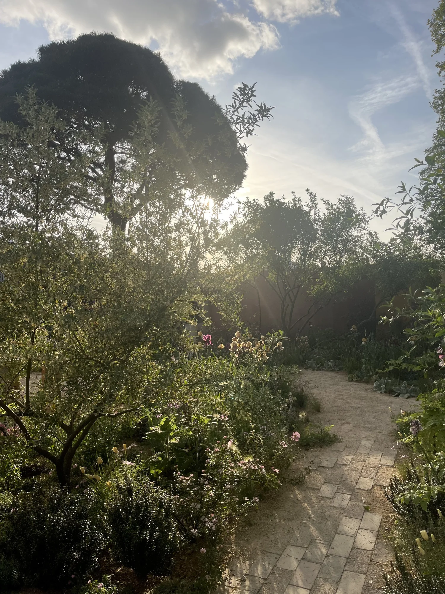 7 Natural Garden Design Ideas As Seen At Chelsea Flower Show 2023 ...