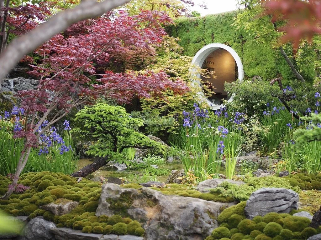 2024 Chelsea Flower Show Unveils Cutting-Edge Garden Designs & Eco ...