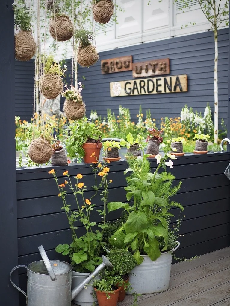 2024 Chelsea Flower Show Unveils Cutting-Edge Garden Designs & Eco ...