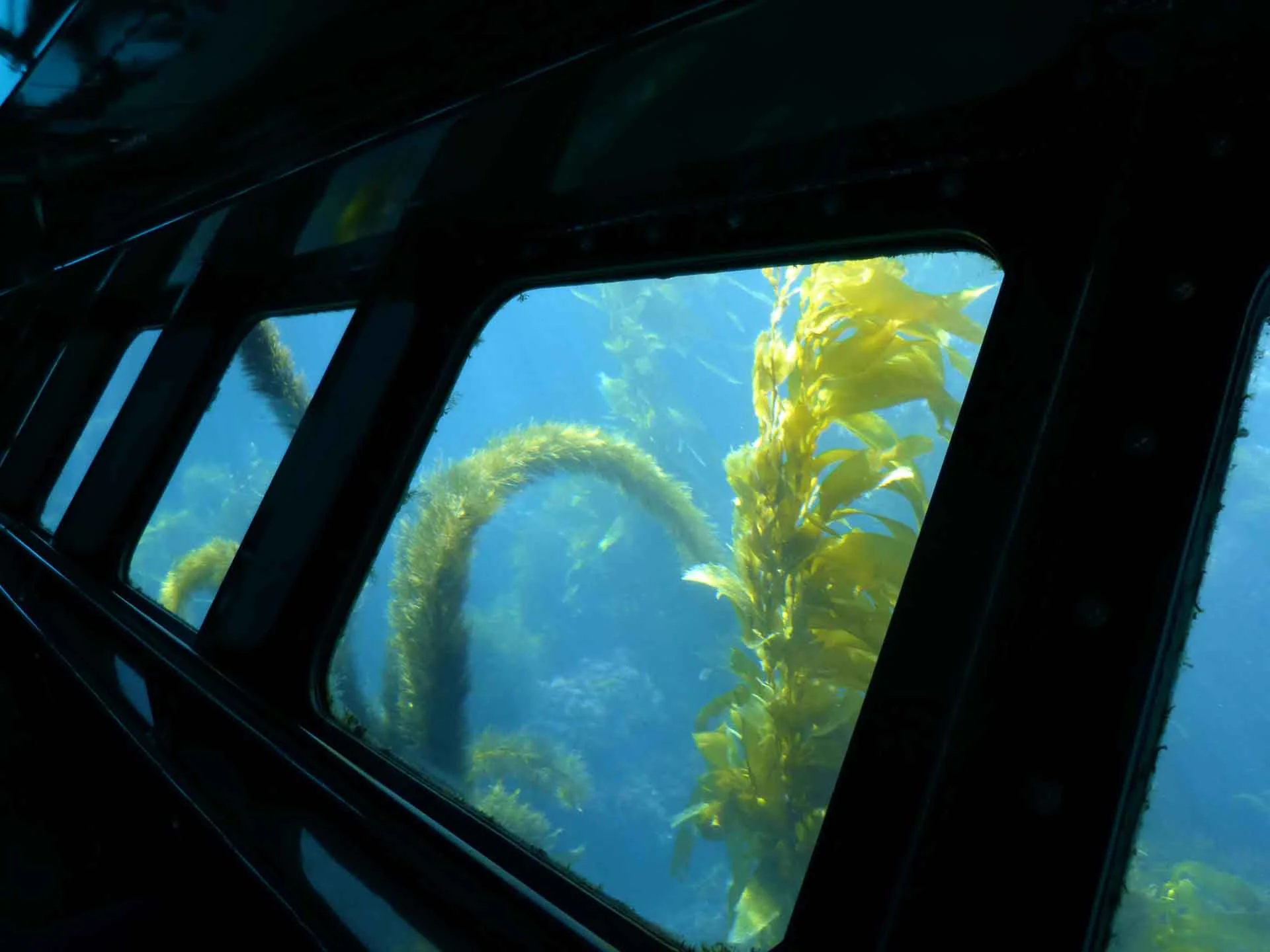 Semi Submarine For Sale
