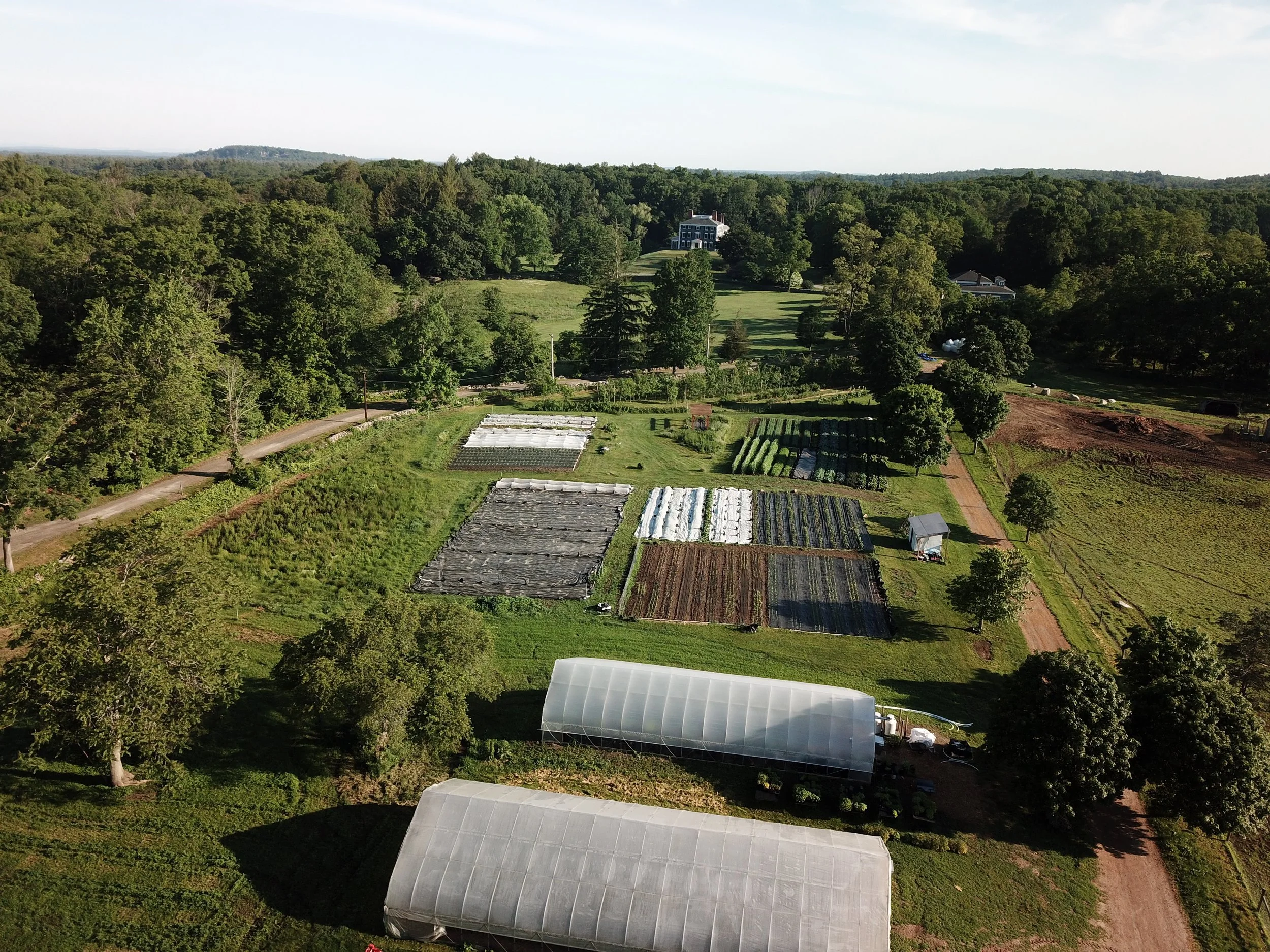 Employment — Codman Community Farms
