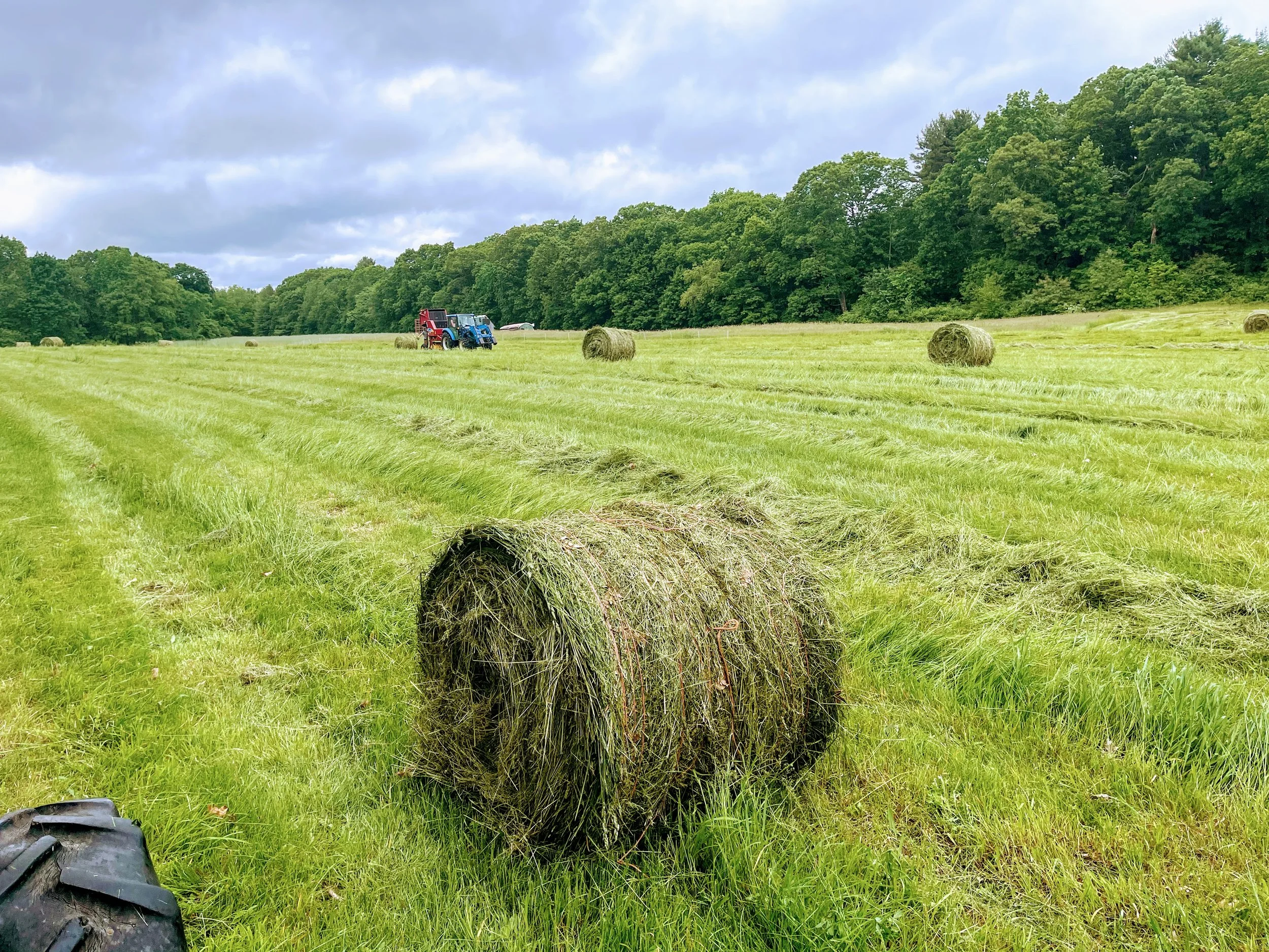 Become a Member — Codman Community Farms