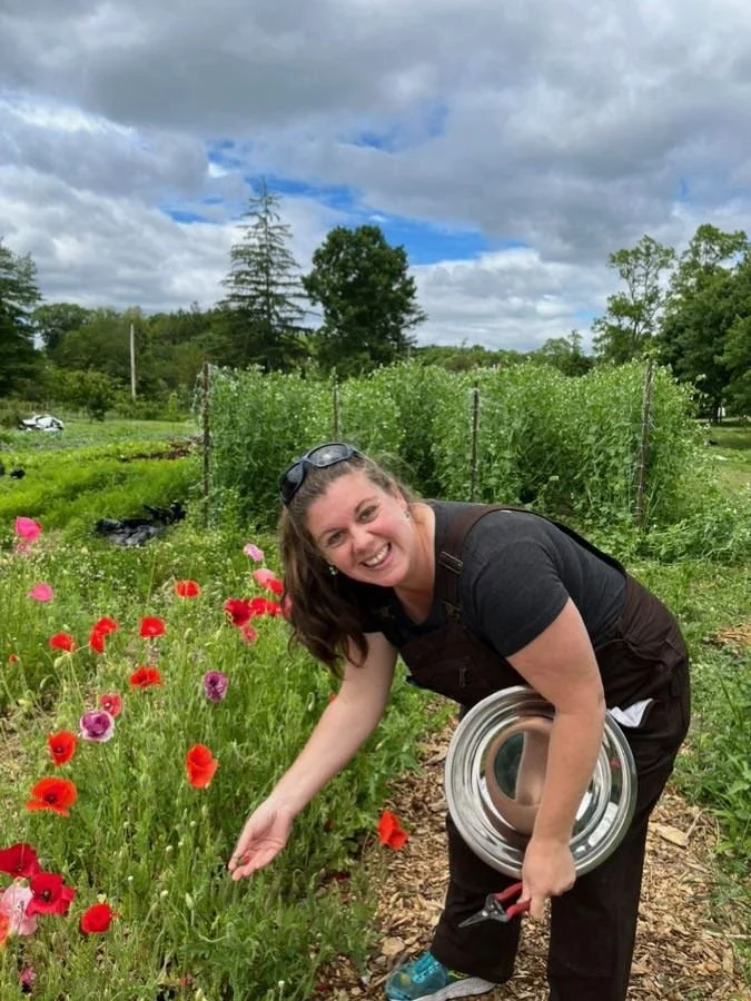 Employment — Codman Community Farms