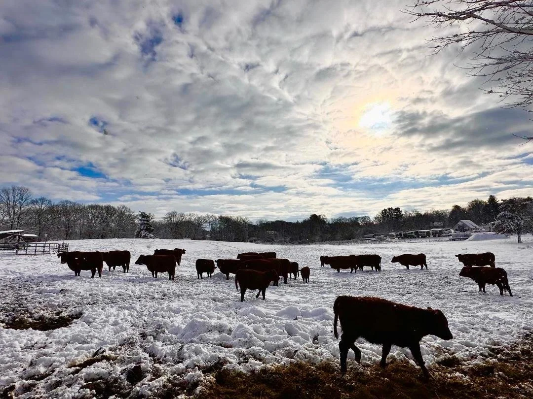 Codman Community Farms