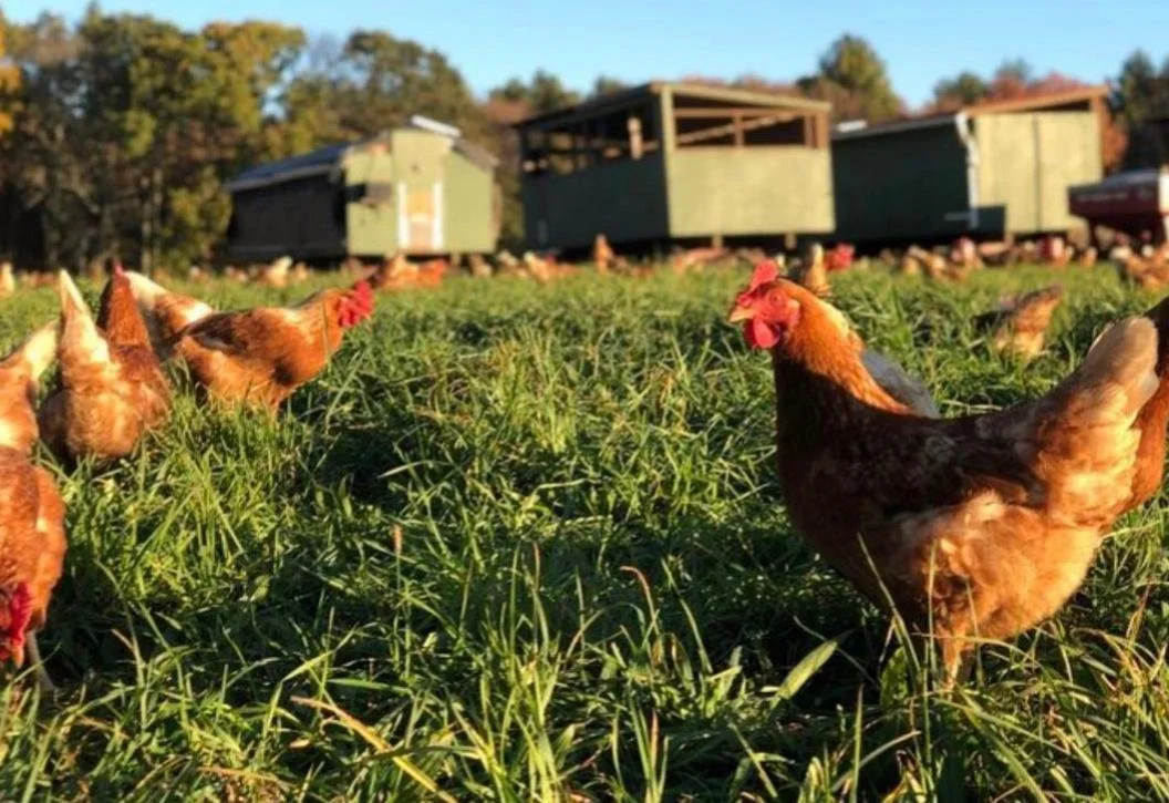Codman Community Farms