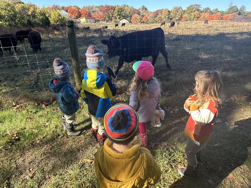 Codman Community Farms