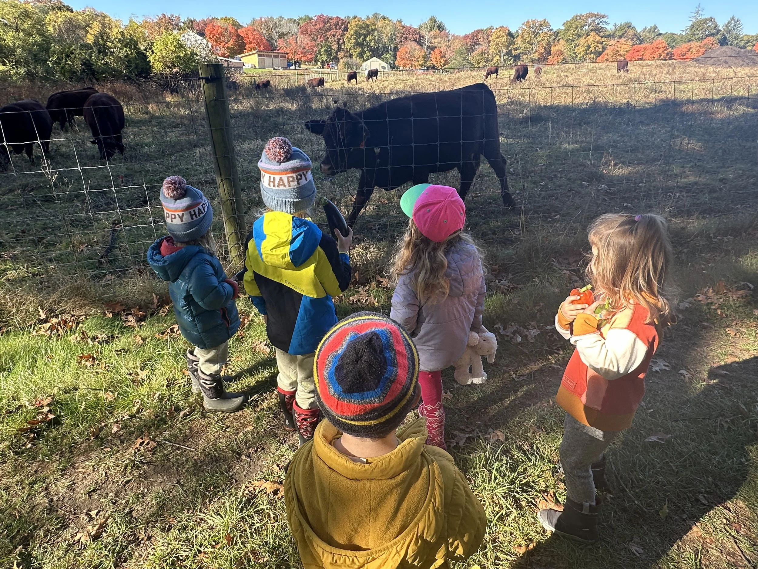 Codman Community Farms