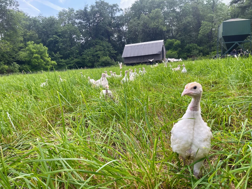 Team — Codman Community Farms