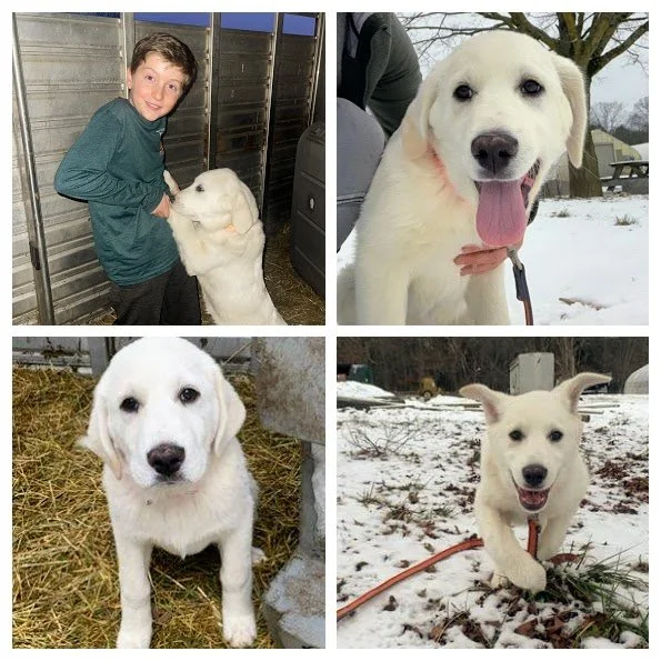 Team — Codman Community Farms