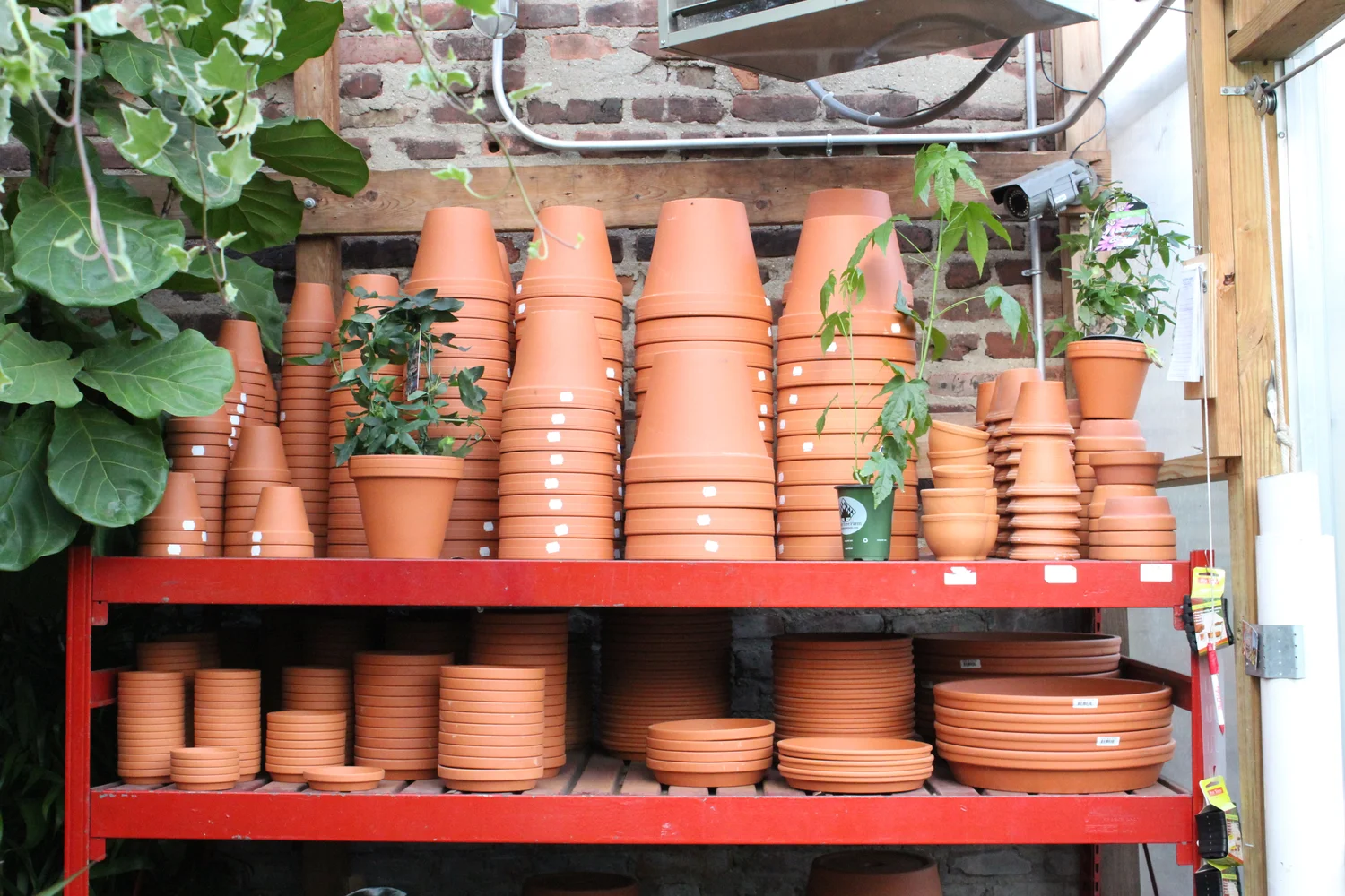 Urban Garden Center — Crest Hardware - True Value