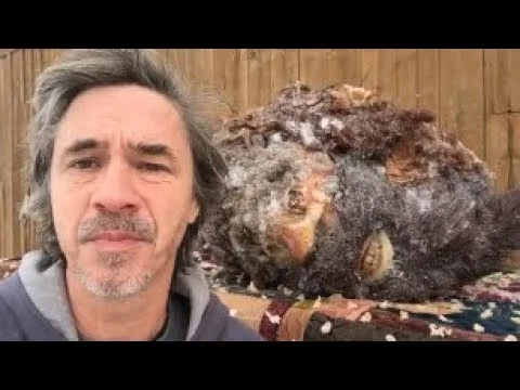 Man Reveals 'Frozen Bigfoot Head' in Advance of Cryptid Museum Opening ...