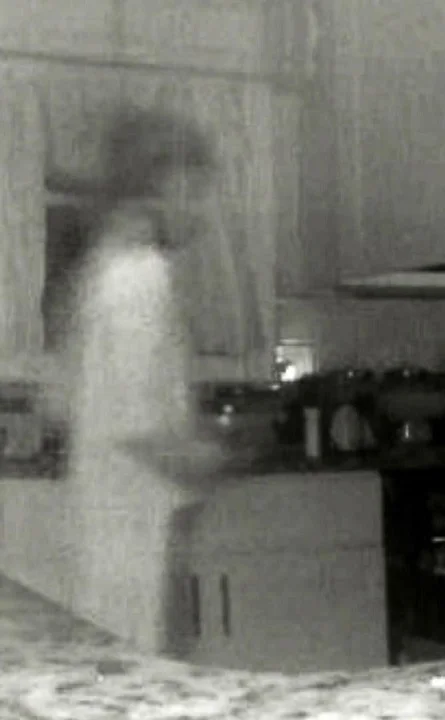 Atlanta Woman's Home Security Camera Might Have Captured Image of ...