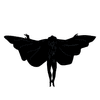 'Bat-Like' Flying Humanoid with 'an Obvious Face' Reported near Indiana ...
