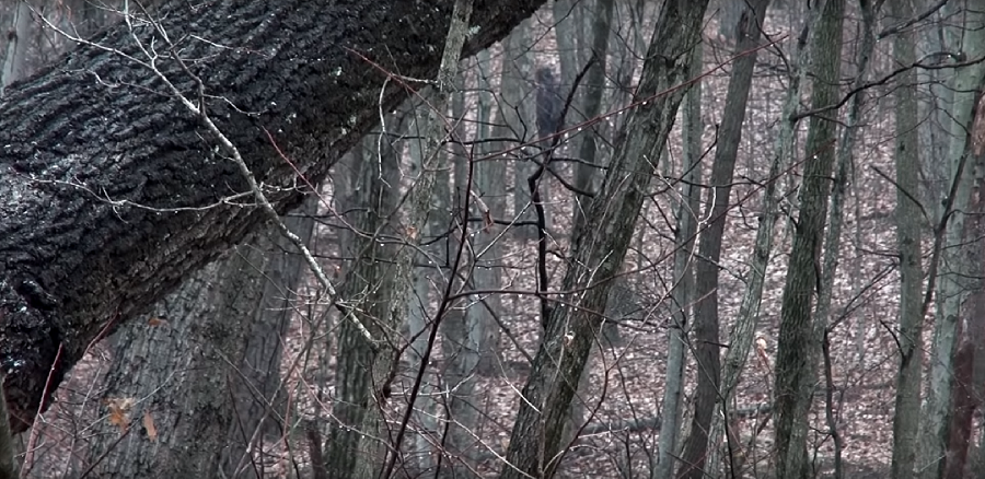 "Salt Fork Ohio Grassman" Video Proves to be Controversial among ...