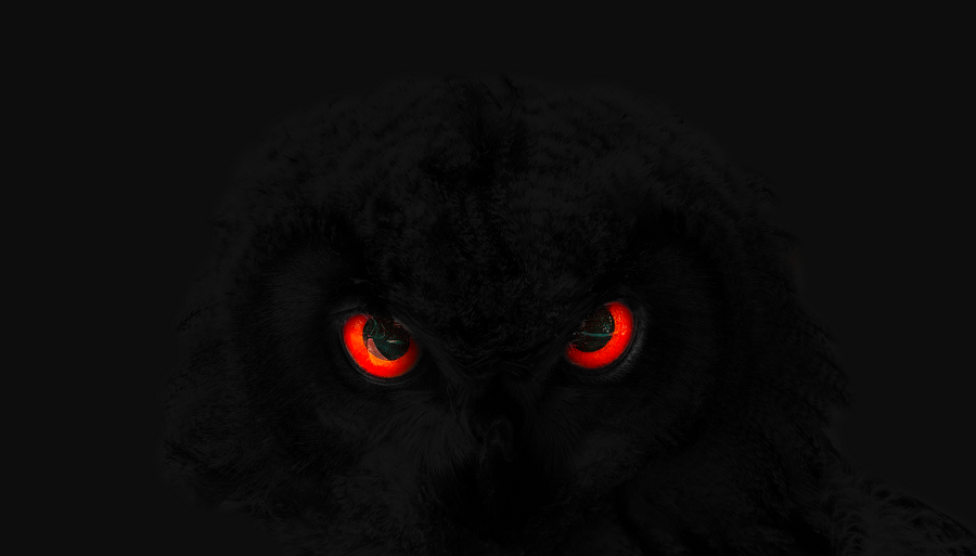 Mothman — The Singular Fortean Society