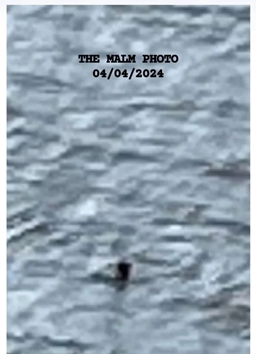 First "Official" Loch Ness Monster Sighting Report of 2024 Features ...