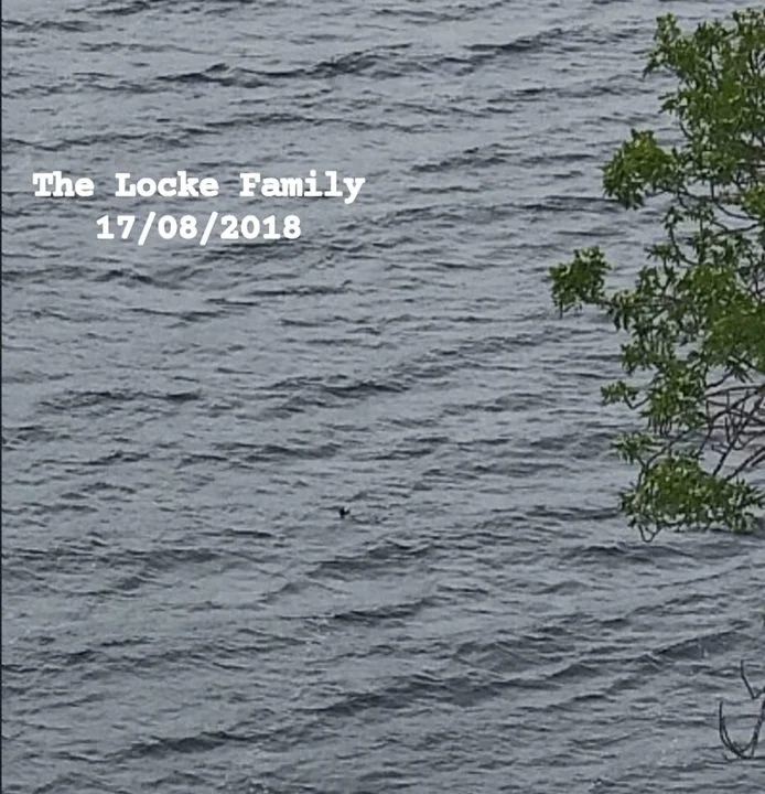 First "Official" Loch Ness Monster Sighting Report of 2024 Features ...