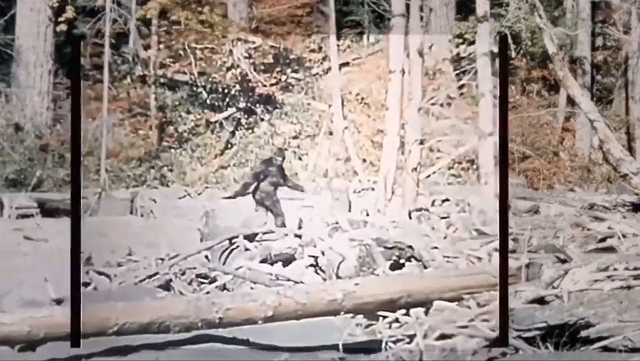 Artificial Intelligence Used to Create Latest Stabilization of ...