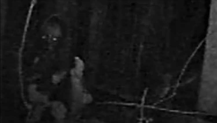 "Humanoid-Like Creature" Caught on Trail Cam near Sydney, Australia — A Singular Fortean