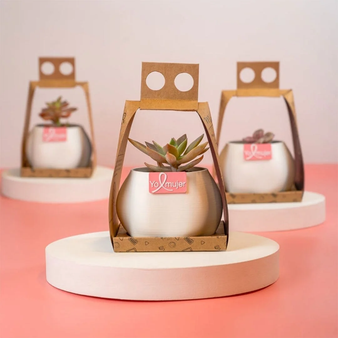 Custom Eco-Friendly Plant Pot for Sustainable Corporate Gifting in ...