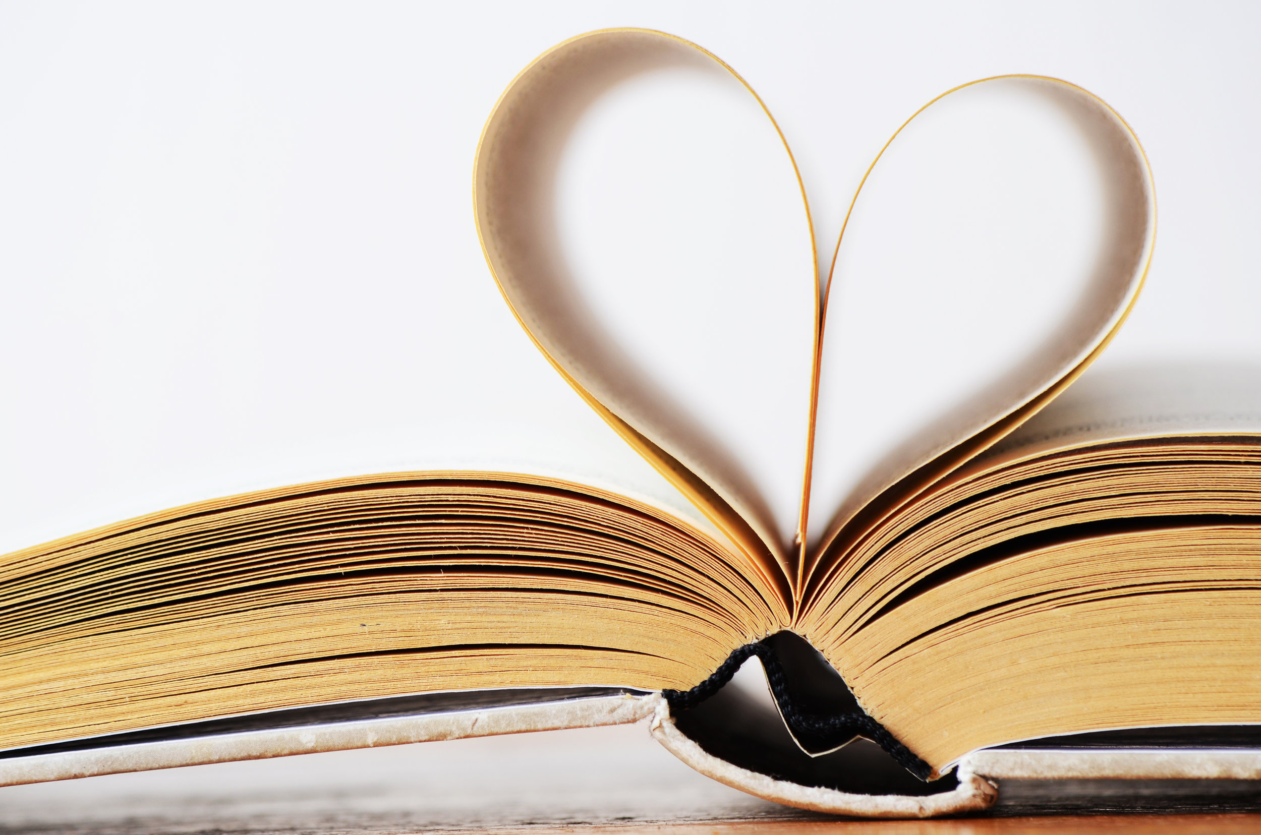 What You Should Read In Elementary School Home School Life