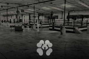Shamrock Boxing Gym