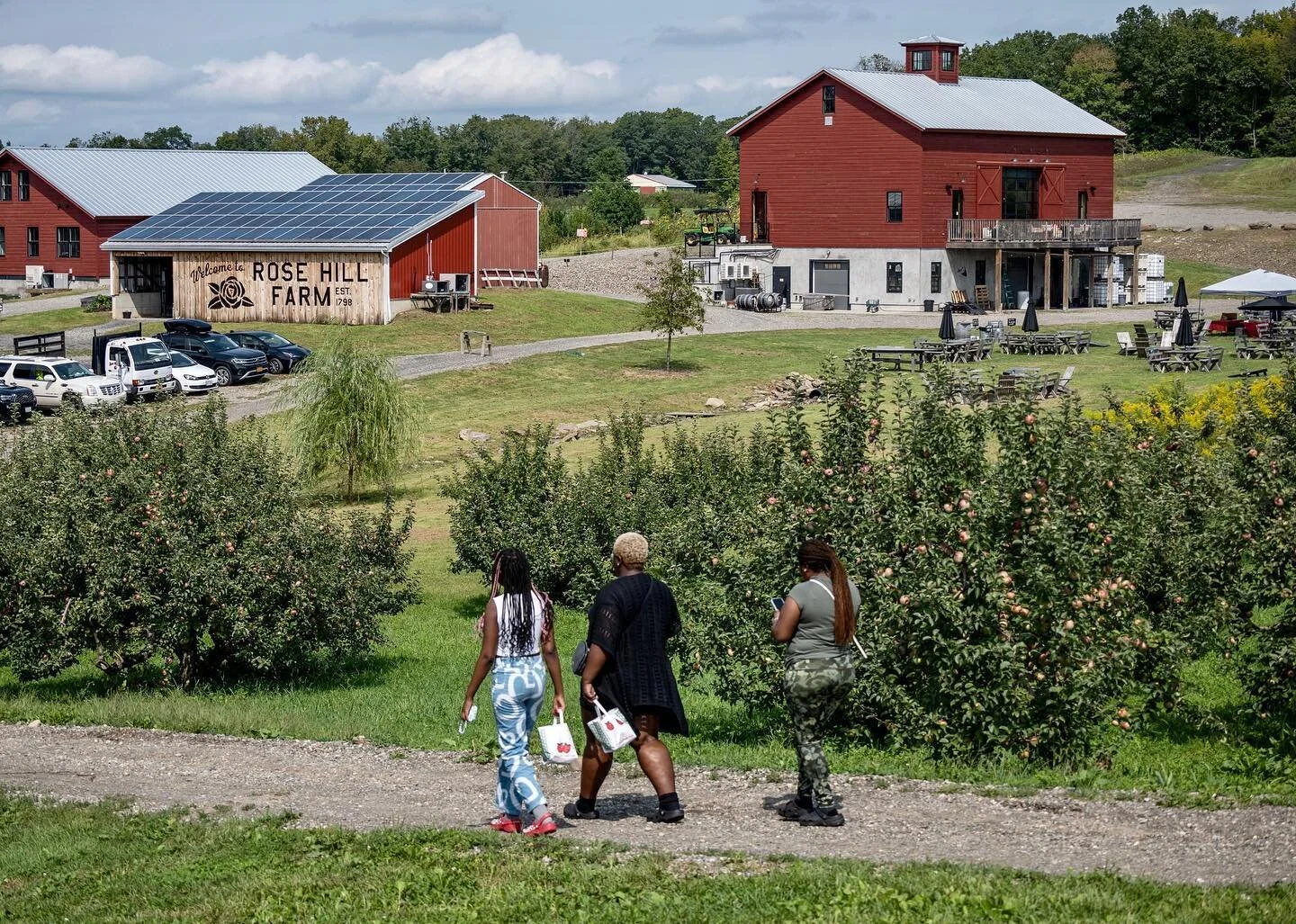 Hudson Valley Apple Picking Orchard Rose Hill Farm