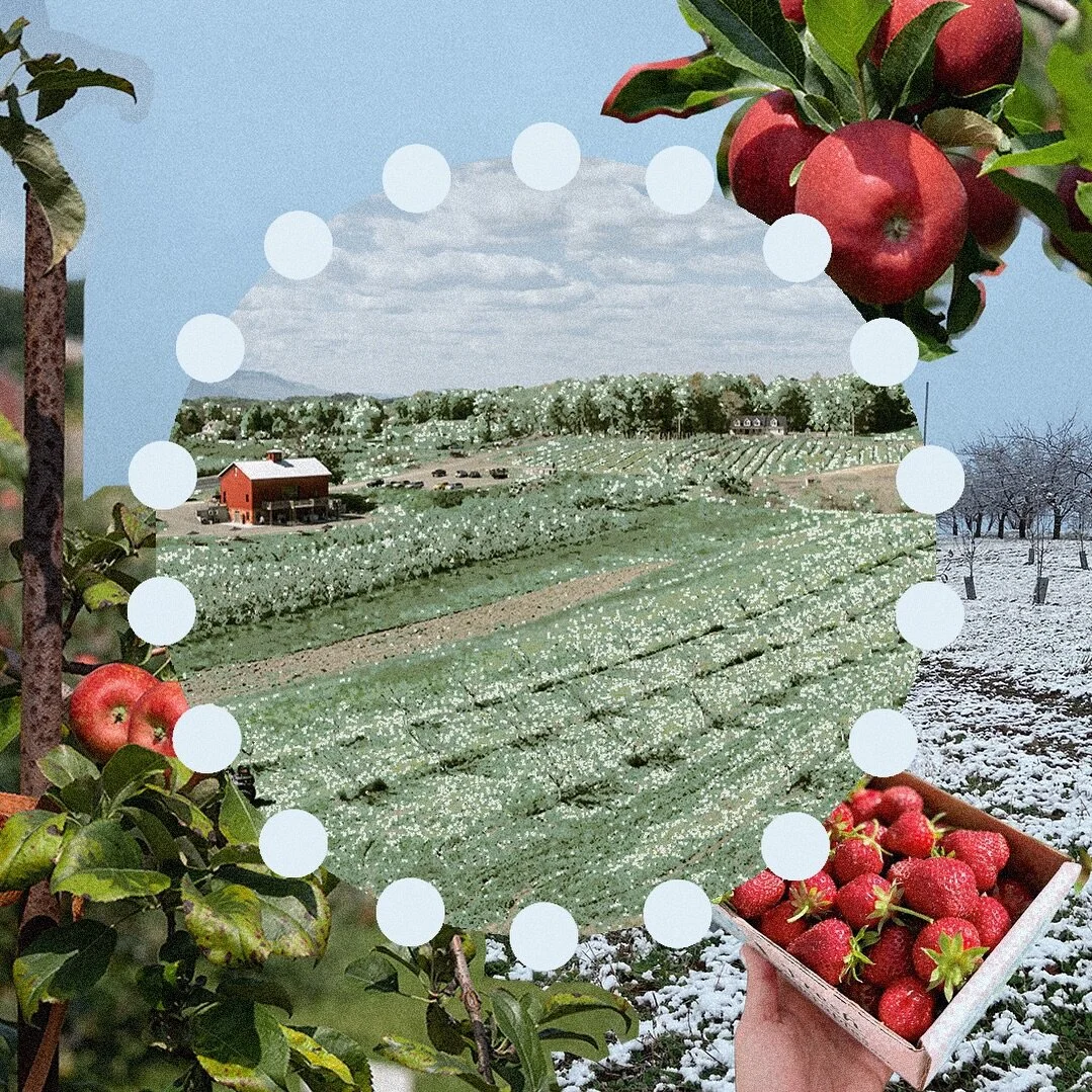 Hudson Valley Apple Picking Orchard Rose Hill Farm