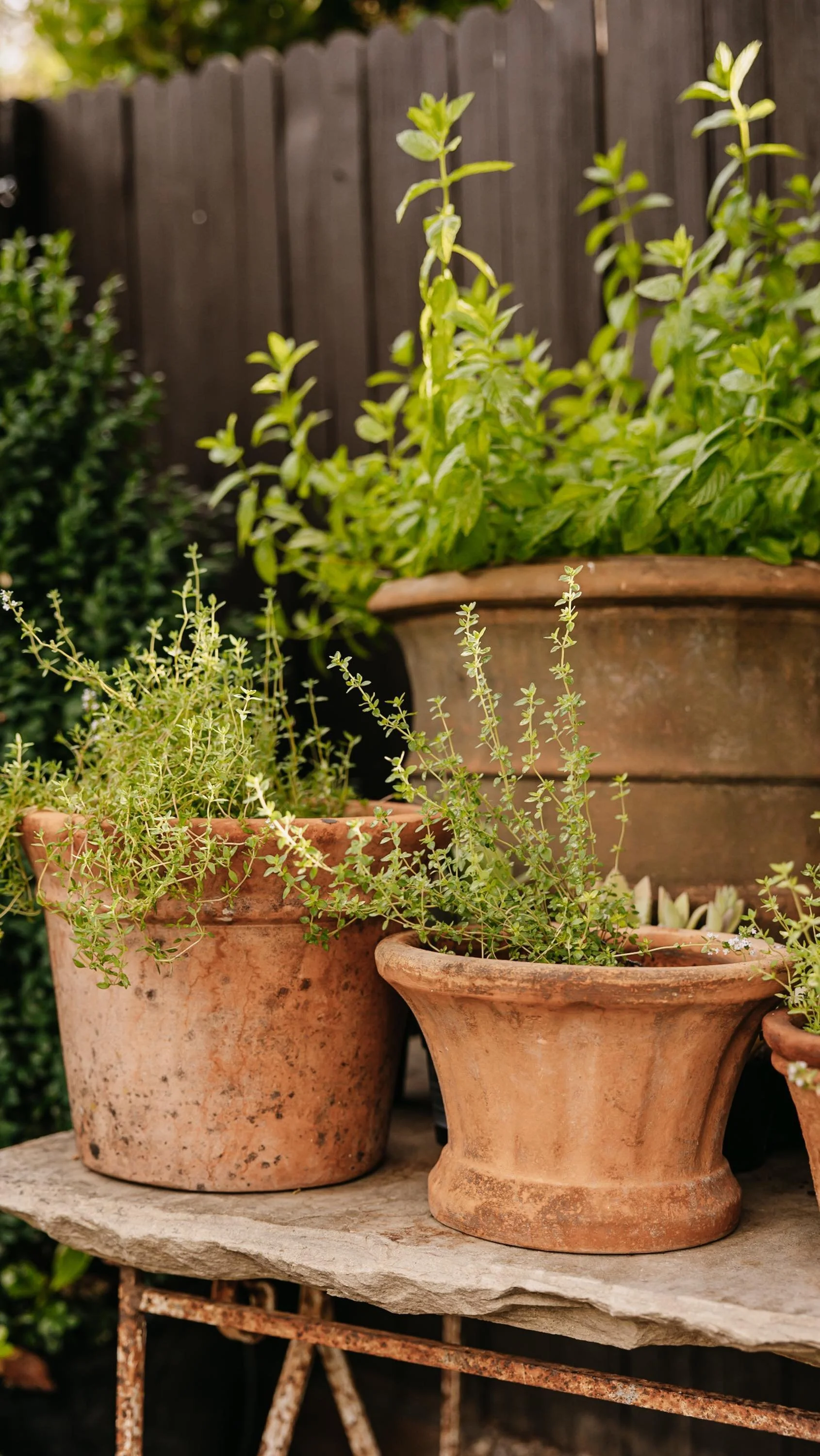 About — Christian Douglas