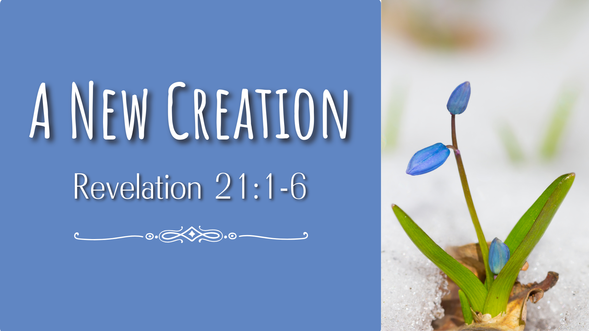 A New Creation