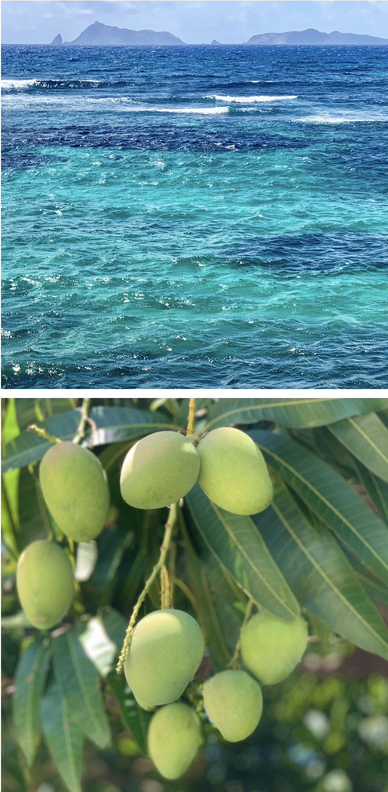 Story — Grenadine Wild Sea Salt finishing craft salt