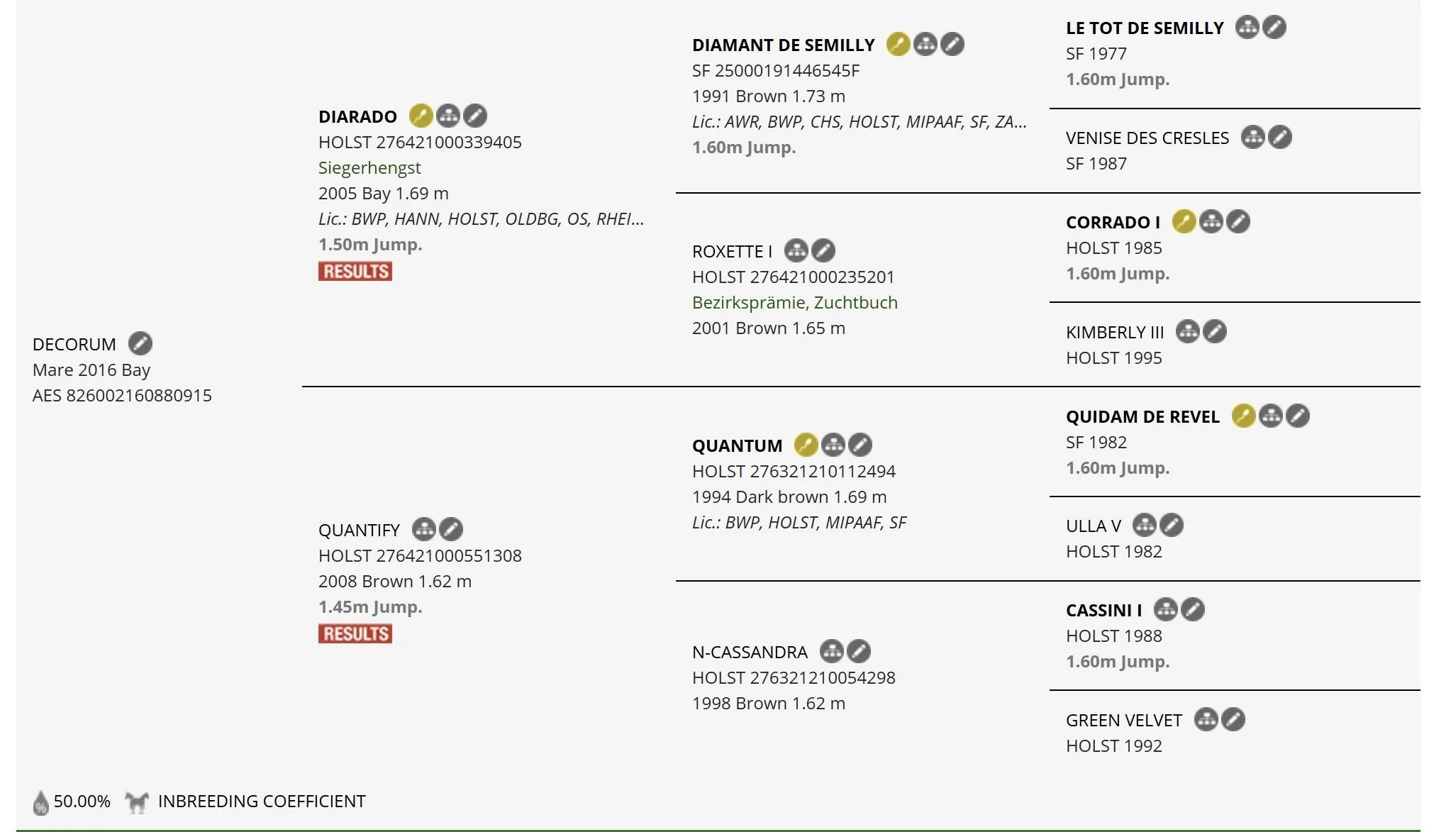 P2's Decorum — P2 Sport Horses, LLC.