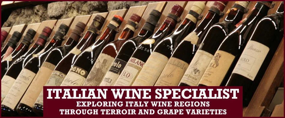 Our Courses — UK Sommelier Association