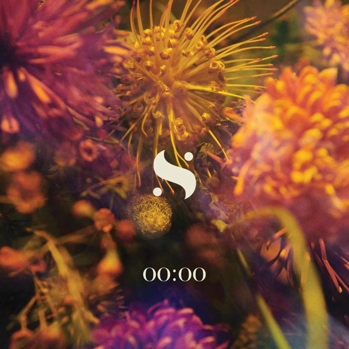 Siddhartha estrena '00:00', nuevo video — ruidoblanco