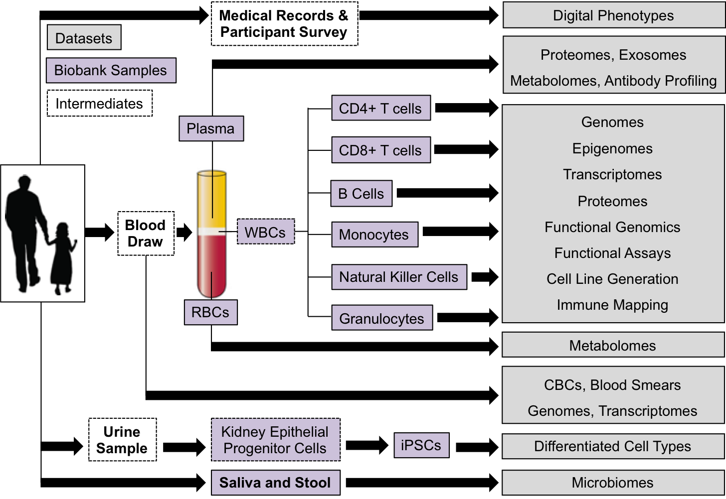 Strategy — The Crnic Institute Human Trisome Project