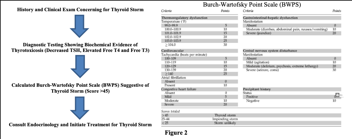 Storm’s a Comin’: A Review of Thyrotoxicosis and Thyroid Storm — BROWN ...