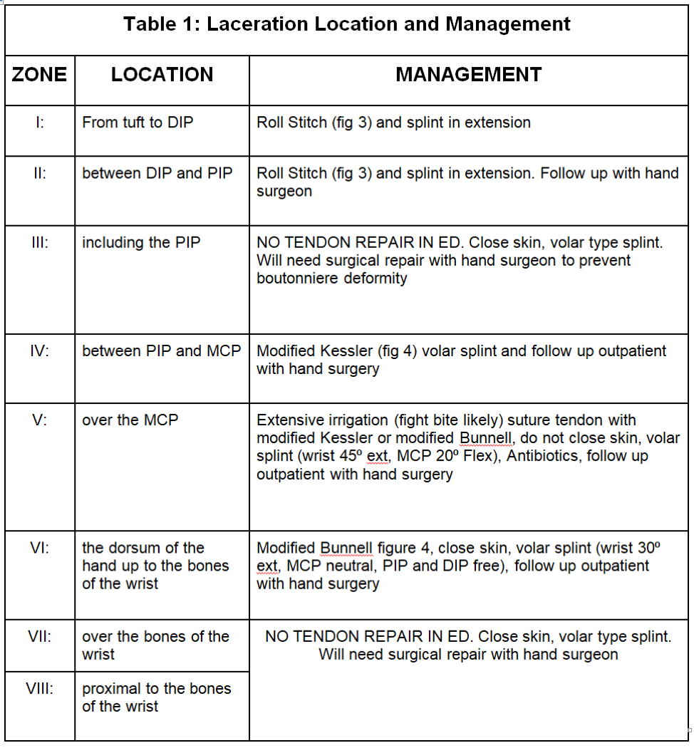 Open Extensor Tendon Repair in the ED — BROWN EMERGENCY MEDICINE BLOG