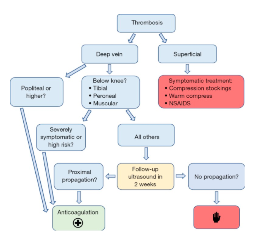 To Treat or Not to Treat: Below the Knee DVT — BROWN EMERGENCY MEDICINE ...